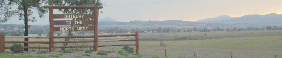 Willow Tree | Anglican Parish of Quirindi